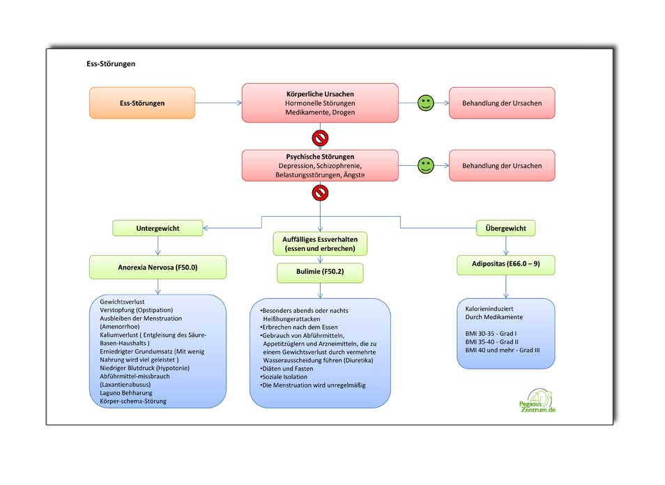 Diagnose der Essstörungen auf einem Blatt